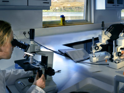 Offices and laboratories - British Antarctic Survey