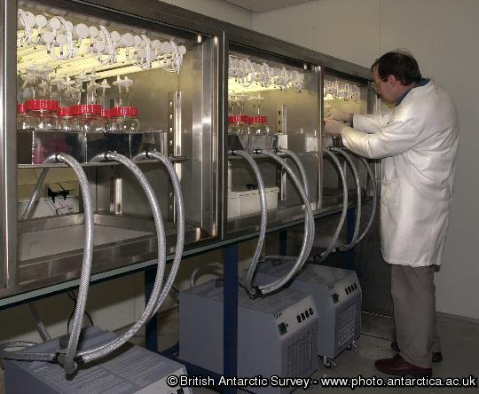 Micro-Molecular laboratories - British Antarctic Survey