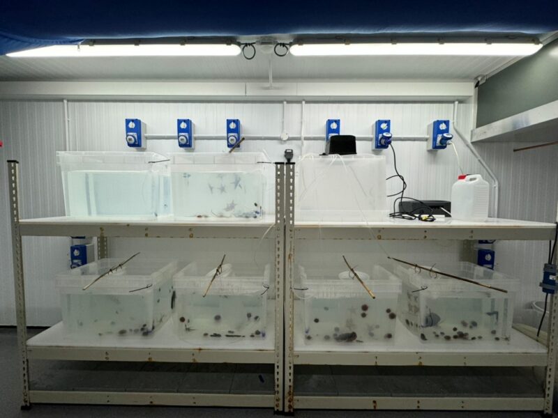 Controlled Environment Facility (CEF) - British Antarctic Survey