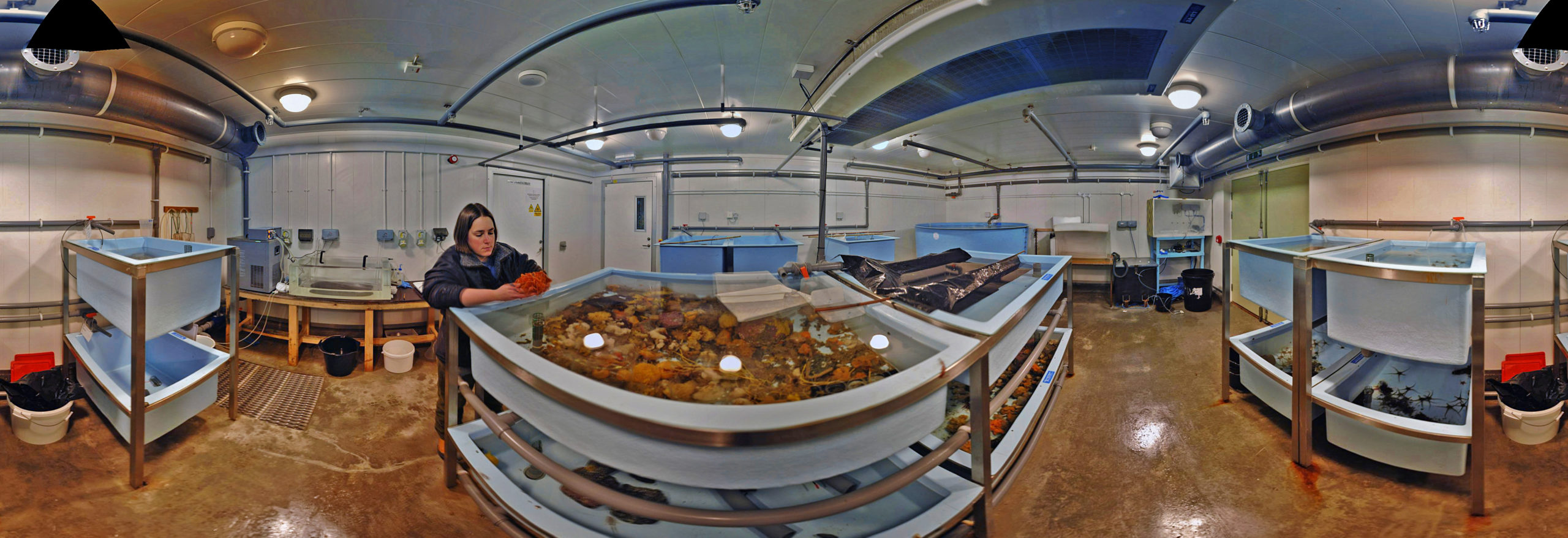 Scientific Assistant - British Antarctic Survey