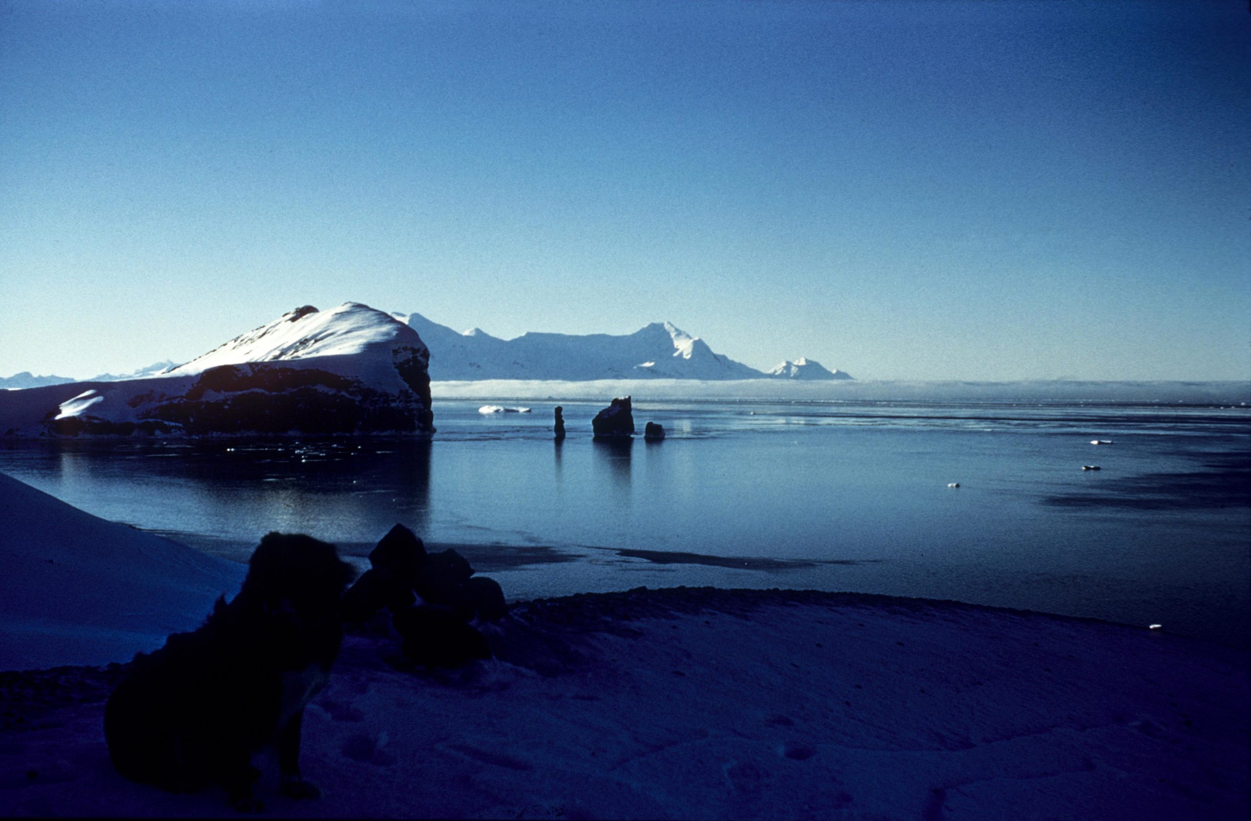 History of Livingston Island (Station P) - British Antarctic Survey