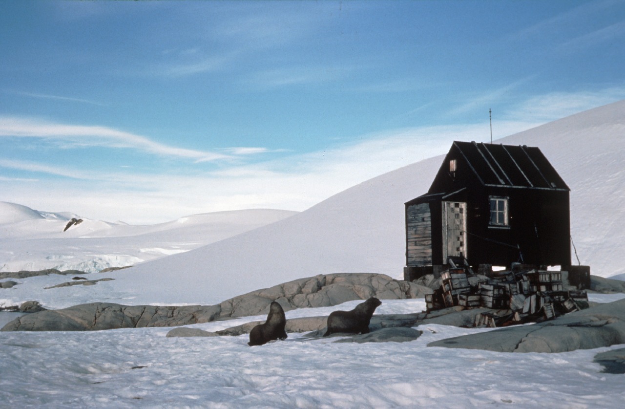 Environmental policy and management - British Antarctic Survey