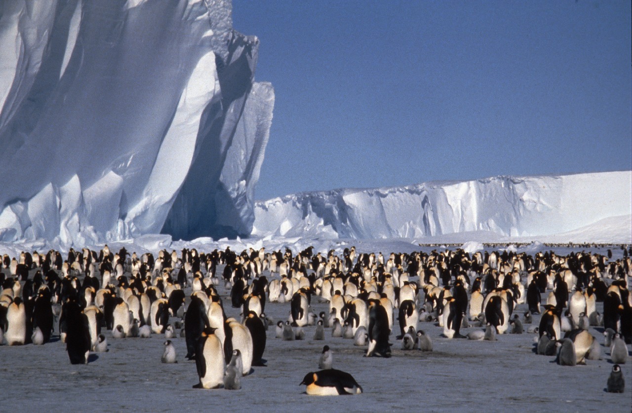 About - British Antarctic Survey