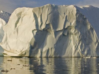 Iceberg scour affects biodiversity - British Antarctic Survey