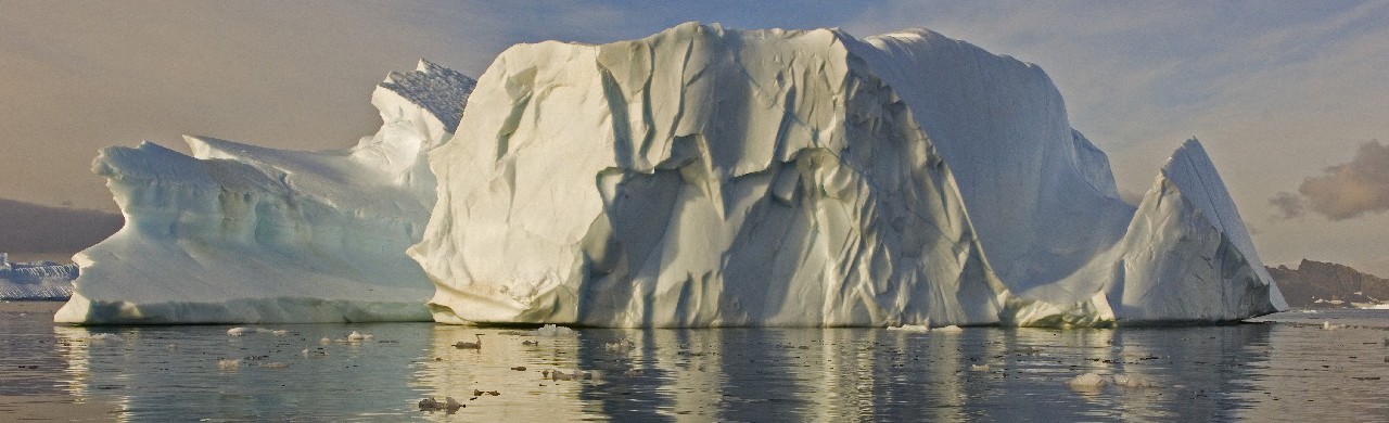 Iceberg scour affects biodiversity - British Antarctic Survey