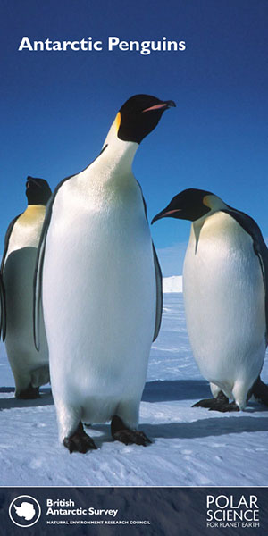 Antarctic Penguins - British Antarctic Survey