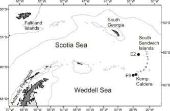 NEWS STORY: New starfish identified - British Antarctic Survey
