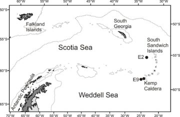 NEWS STORY: New starfish identified - British Antarctic Survey