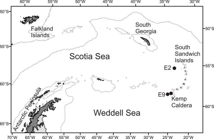 NEWS STORY: New starfish identified - British Antarctic Survey