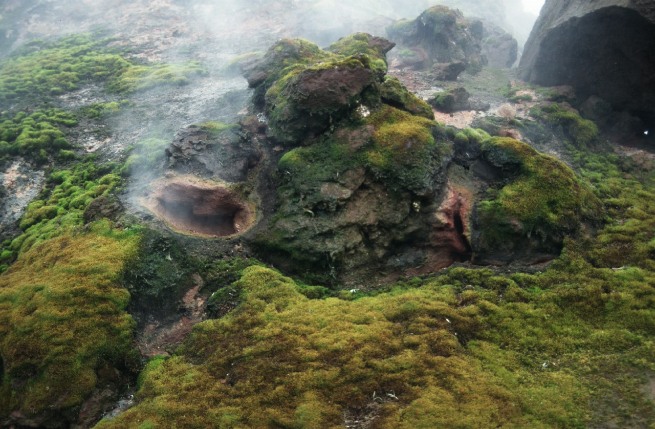 NEWS STORY: Volcanoes helped life survive ice ages - British Antarctic ...