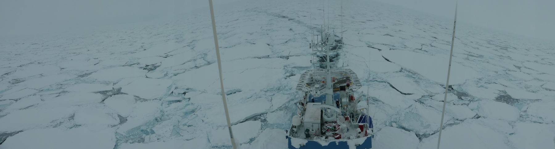 ARCTIC BLOG: Setting foot back on land - British Antarctic Survey