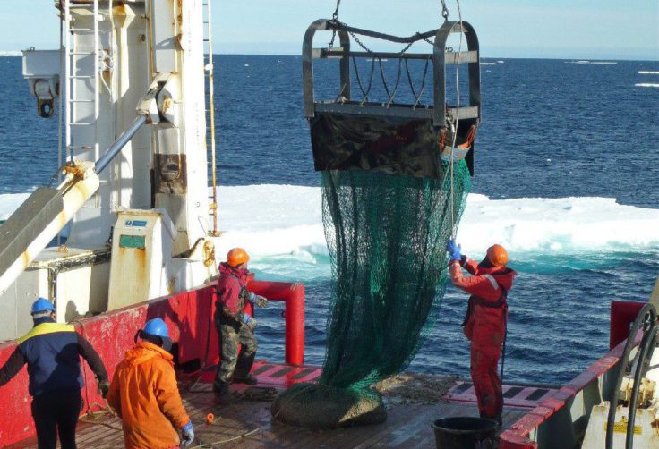 Net, trawl and sledge system capability - British Antarctic Survey