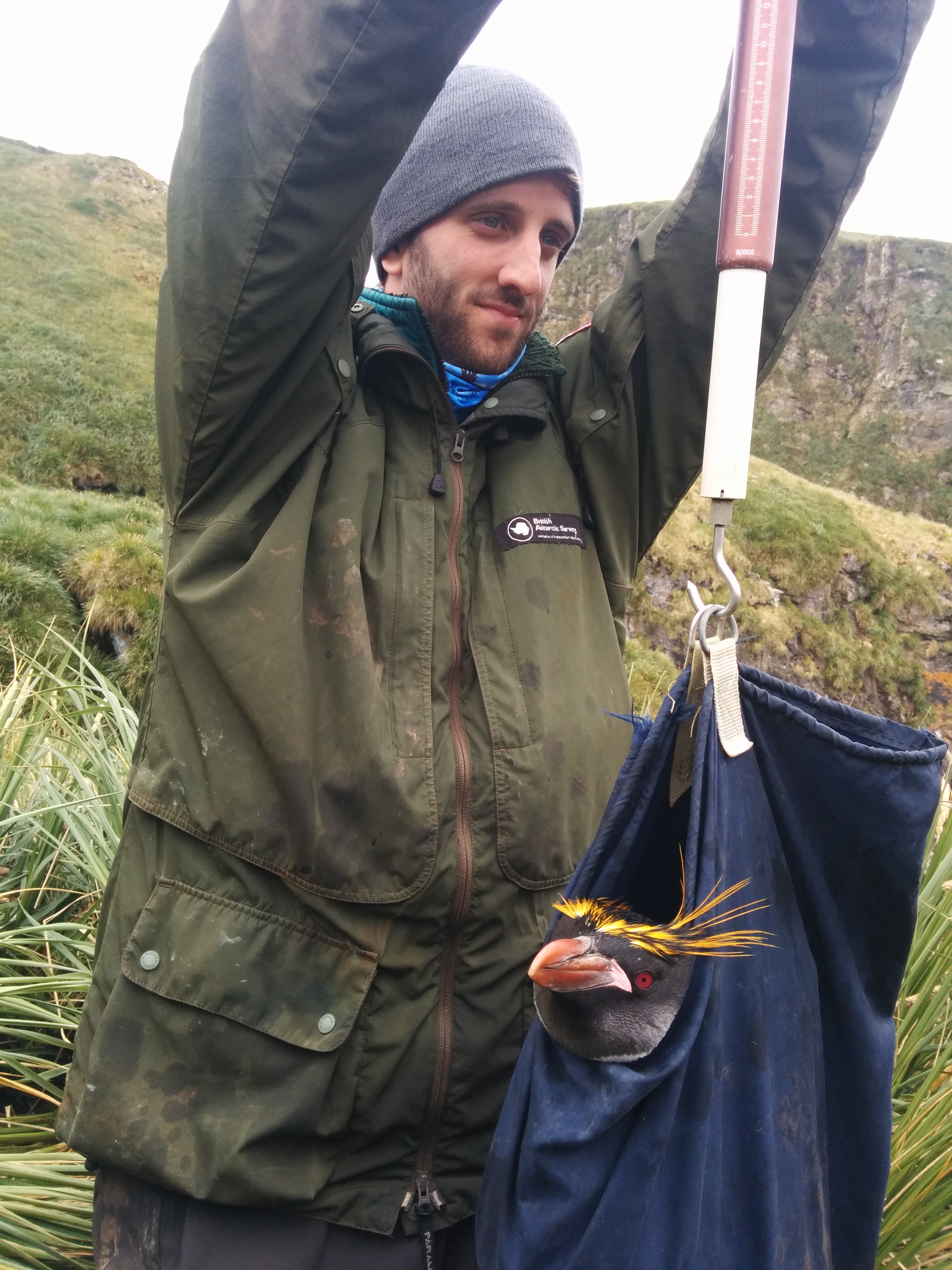 Timothy Morley, Author at British Antarctic Survey