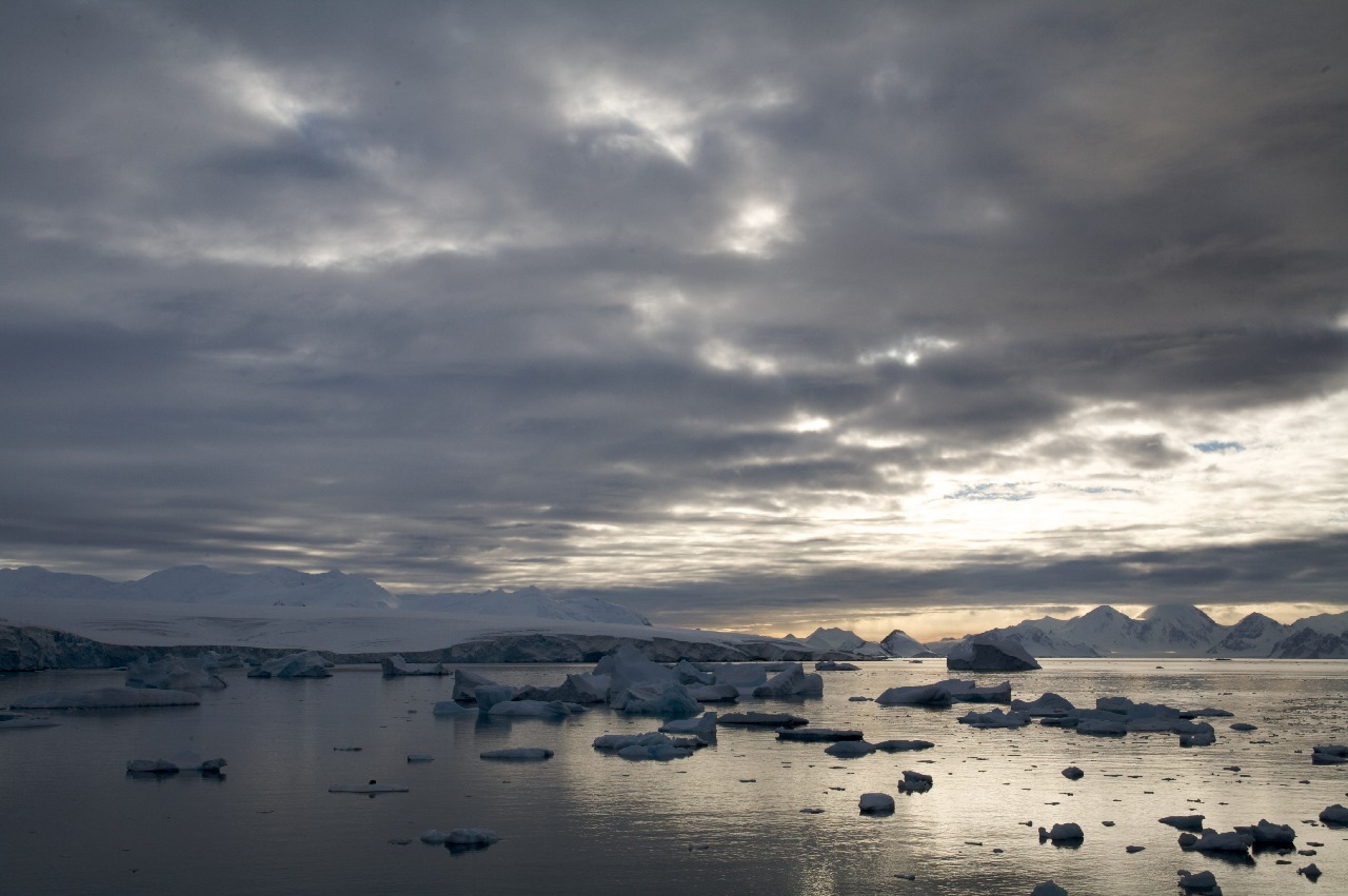 Legacy and Emerging Persistent Organic Pollutants in Antarctic Benthic ...