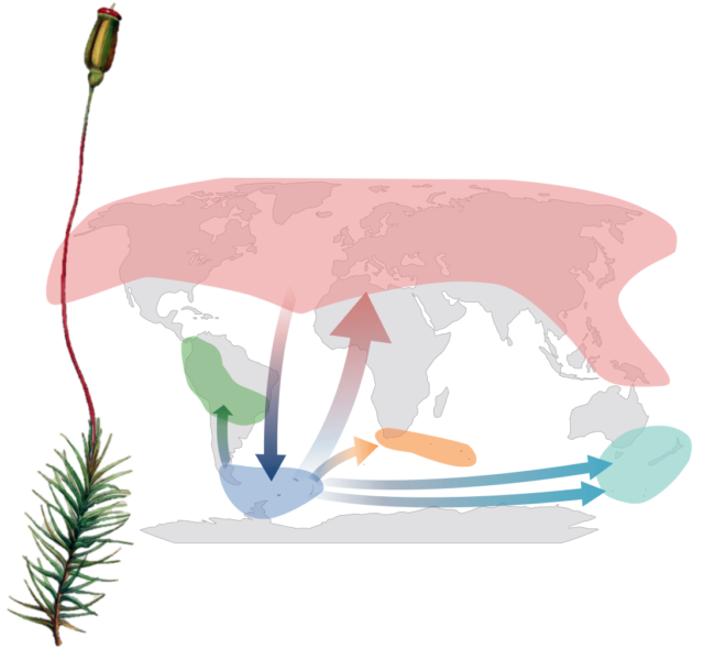 New study explains moss migration across the globe - British Antarctic ...