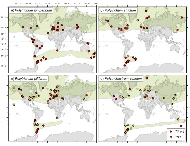 New study explains moss migration across the globe - British Antarctic ...