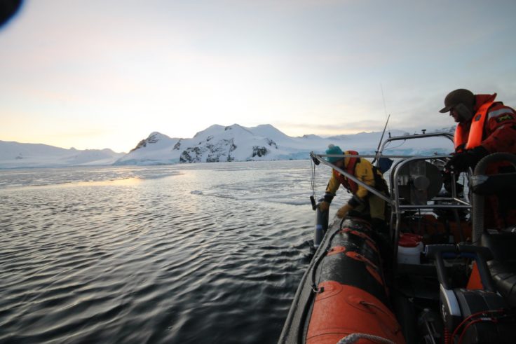 SCIENCE IN THE SEA: Ocean sampling day at Rothera - British Antarctic Survey - Blog post