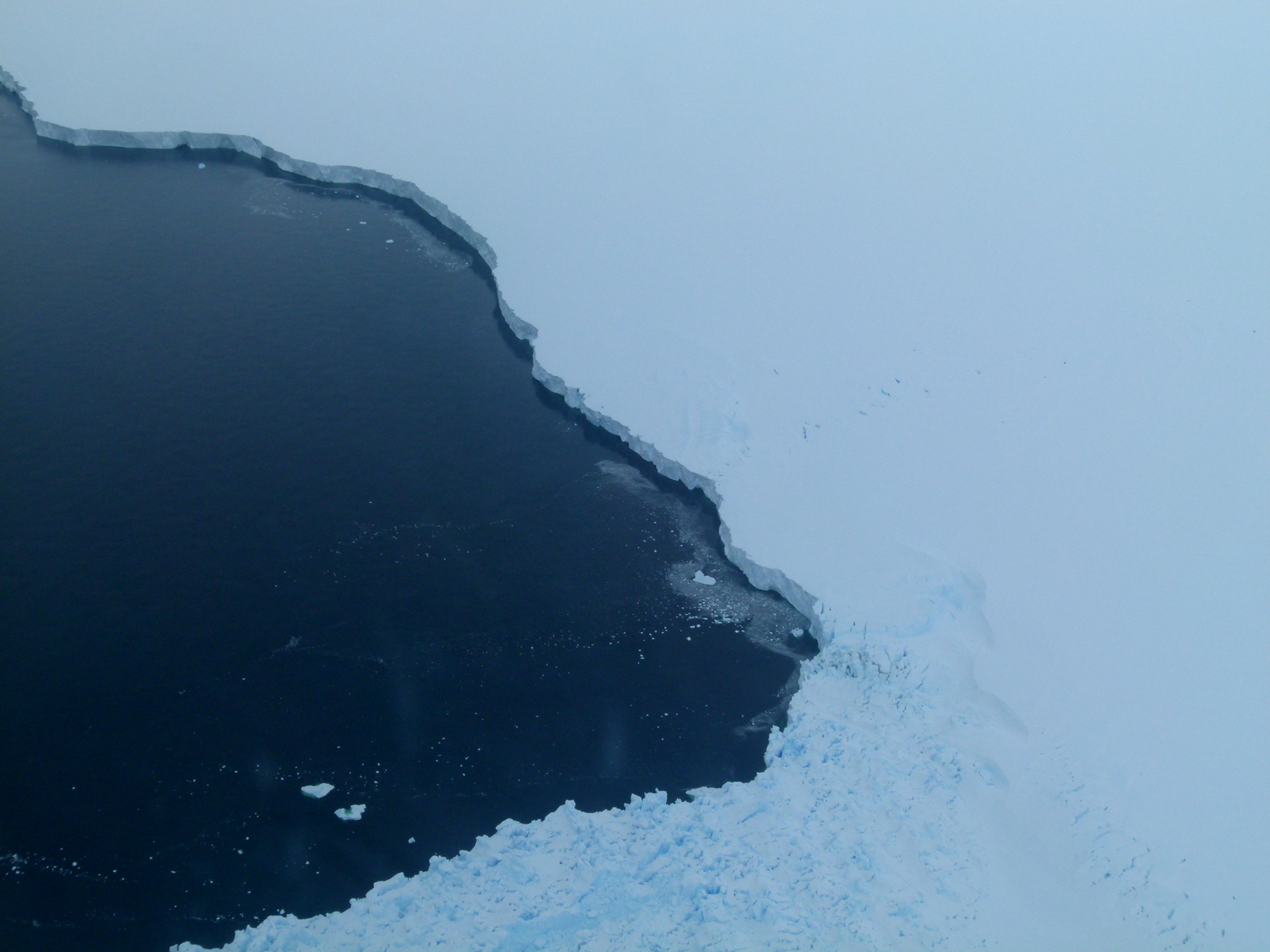 Modeling the influence of the Weddell Polynya on the Filchner-Ronne Ice ...