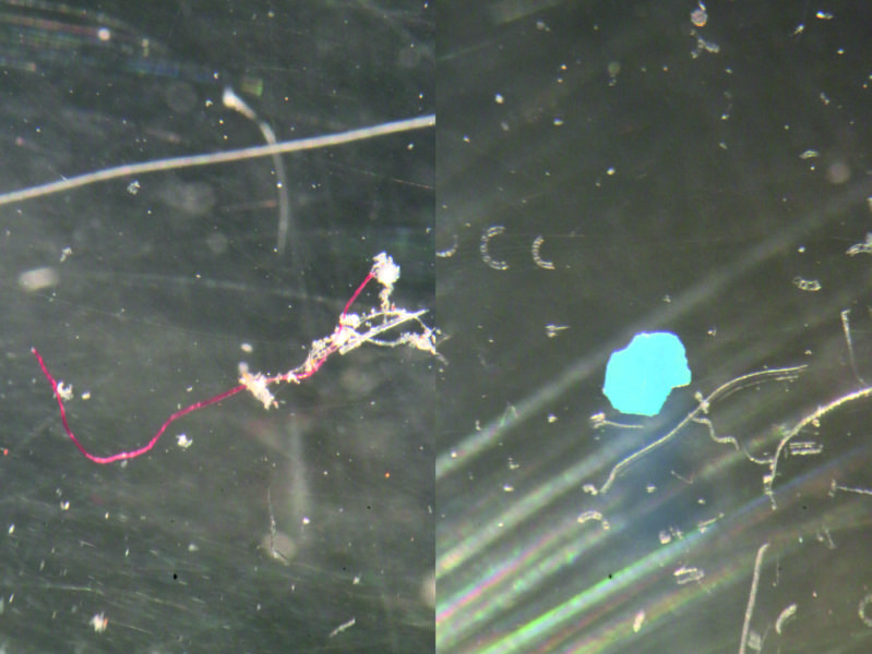 Impact of Plastic in the Polar Regions - British Antarctic Survey - Project