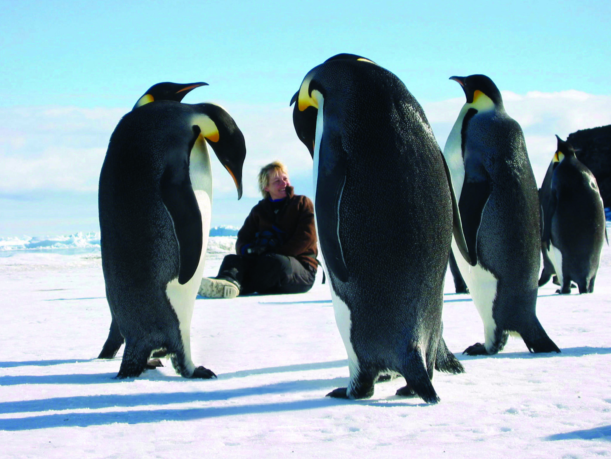 Interview with Professor Dame Jane Francis - British Antarctic Survey