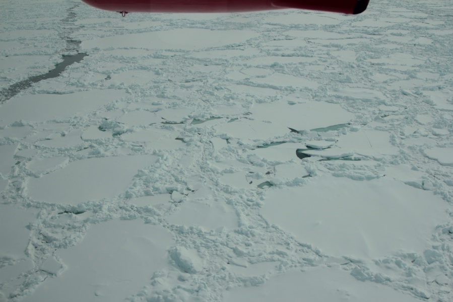 Jeremy Wilkinson, Author at British Antarctic Survey