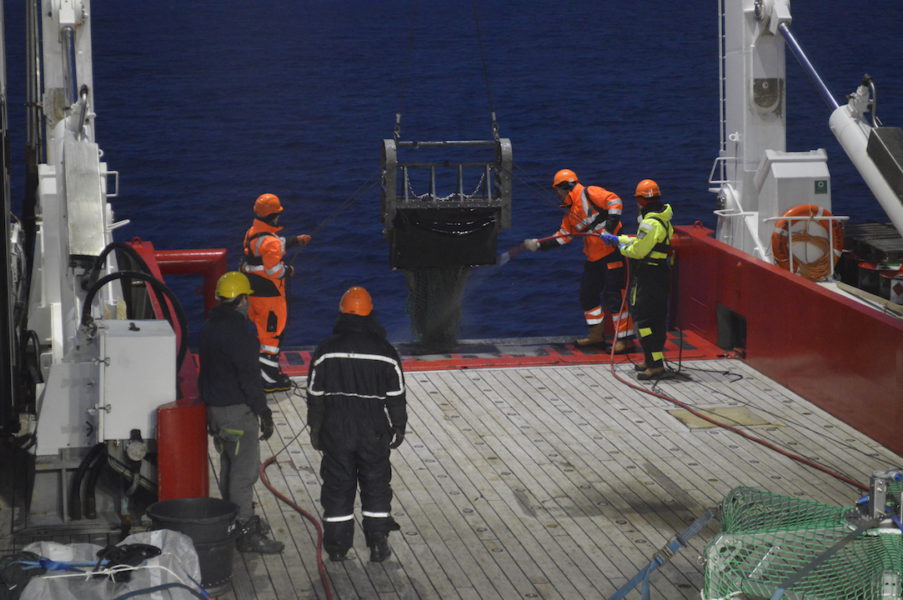 SCIENCE IN THE SEA – Part 2: Busy biologists! - British Antarctic ...