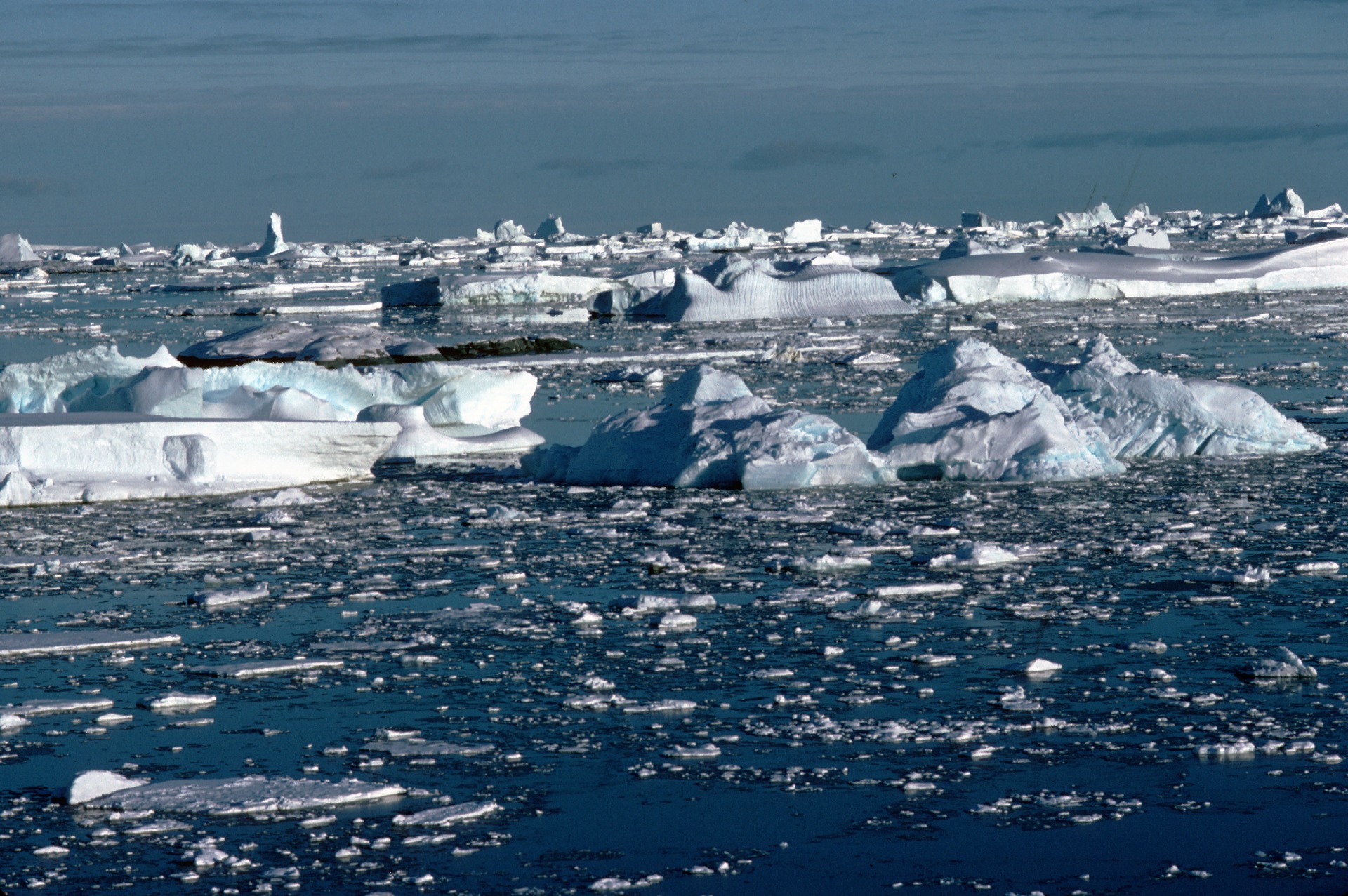 STATION SCIENCE: Baby its stressful down here! - British Antarctic ...