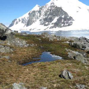 BAS Cambridge - British Antarctic Survey