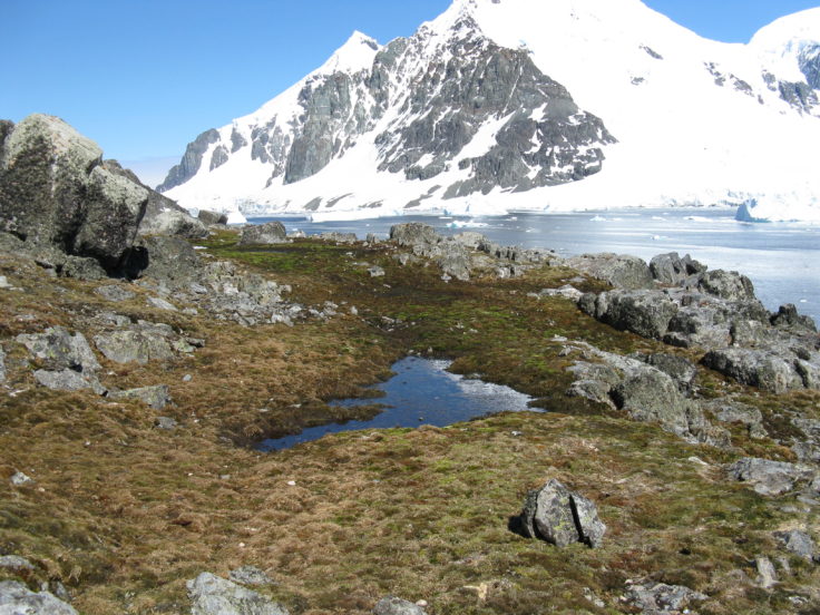 Data on the arc magmatism developed in the Antarctic Peninsula and ...