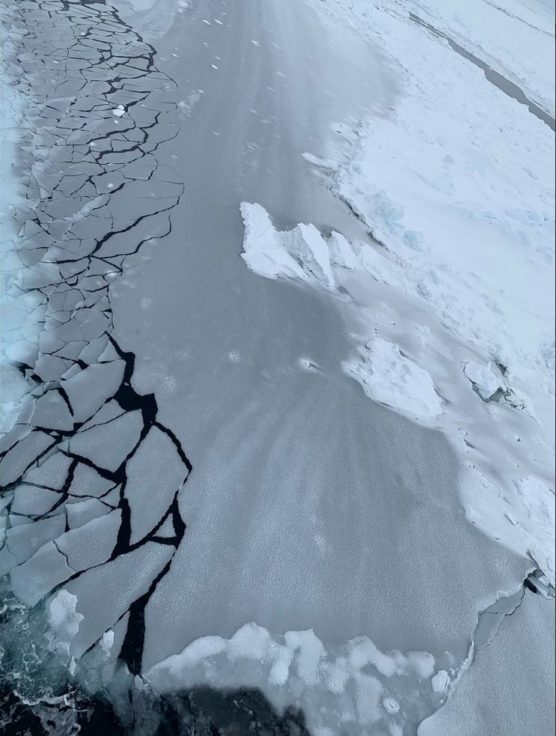 Ice front blocking of ocean heat transport to an Antarctic ice shelf ...