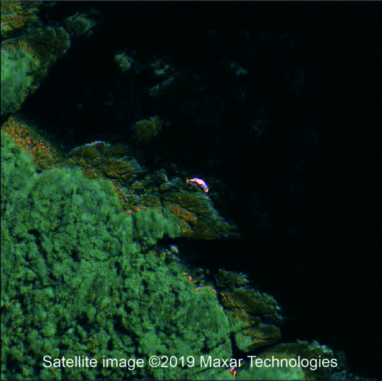 Stranded whales detected from space - British Antarctic Survey