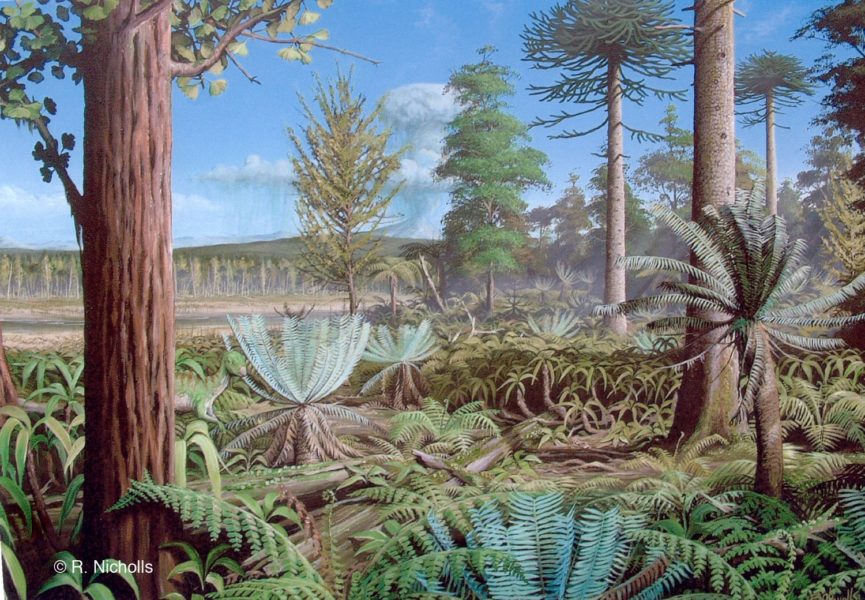 Temperate rainforests near the South Pole during peak Cretaceous warmth ...