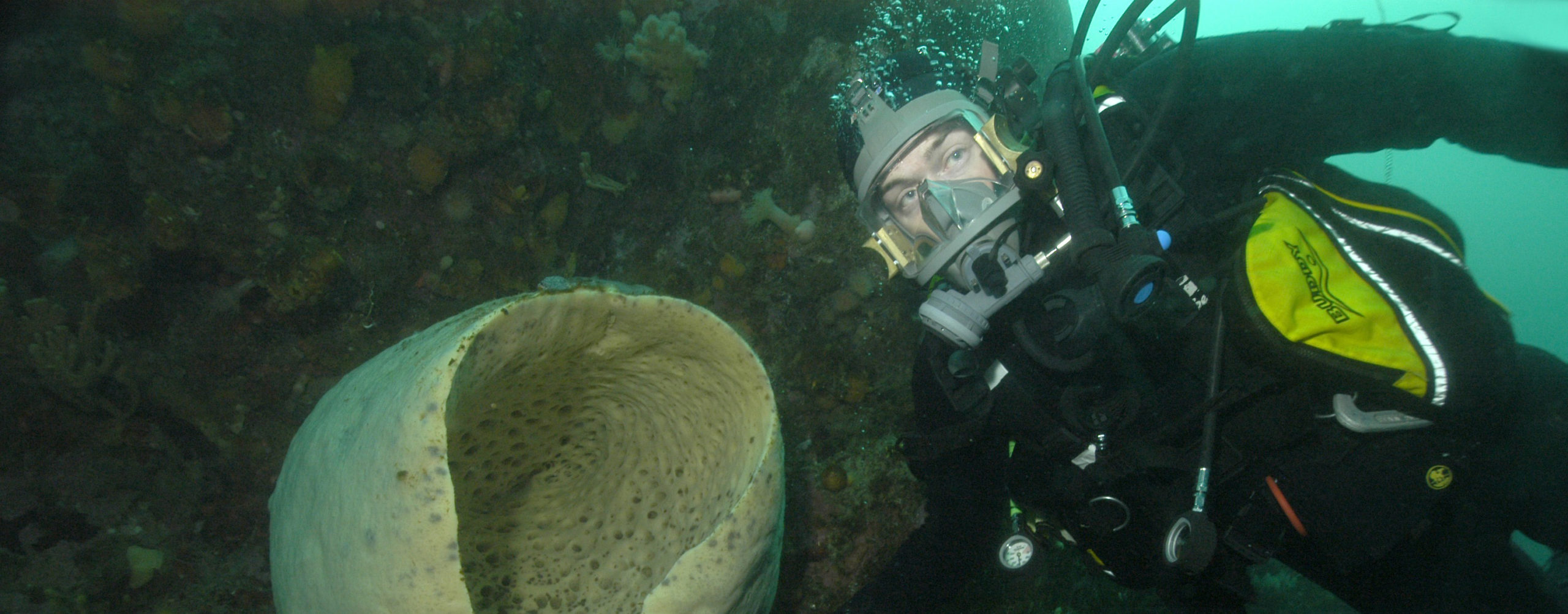 Field Dive Officer - British Antarctic Survey