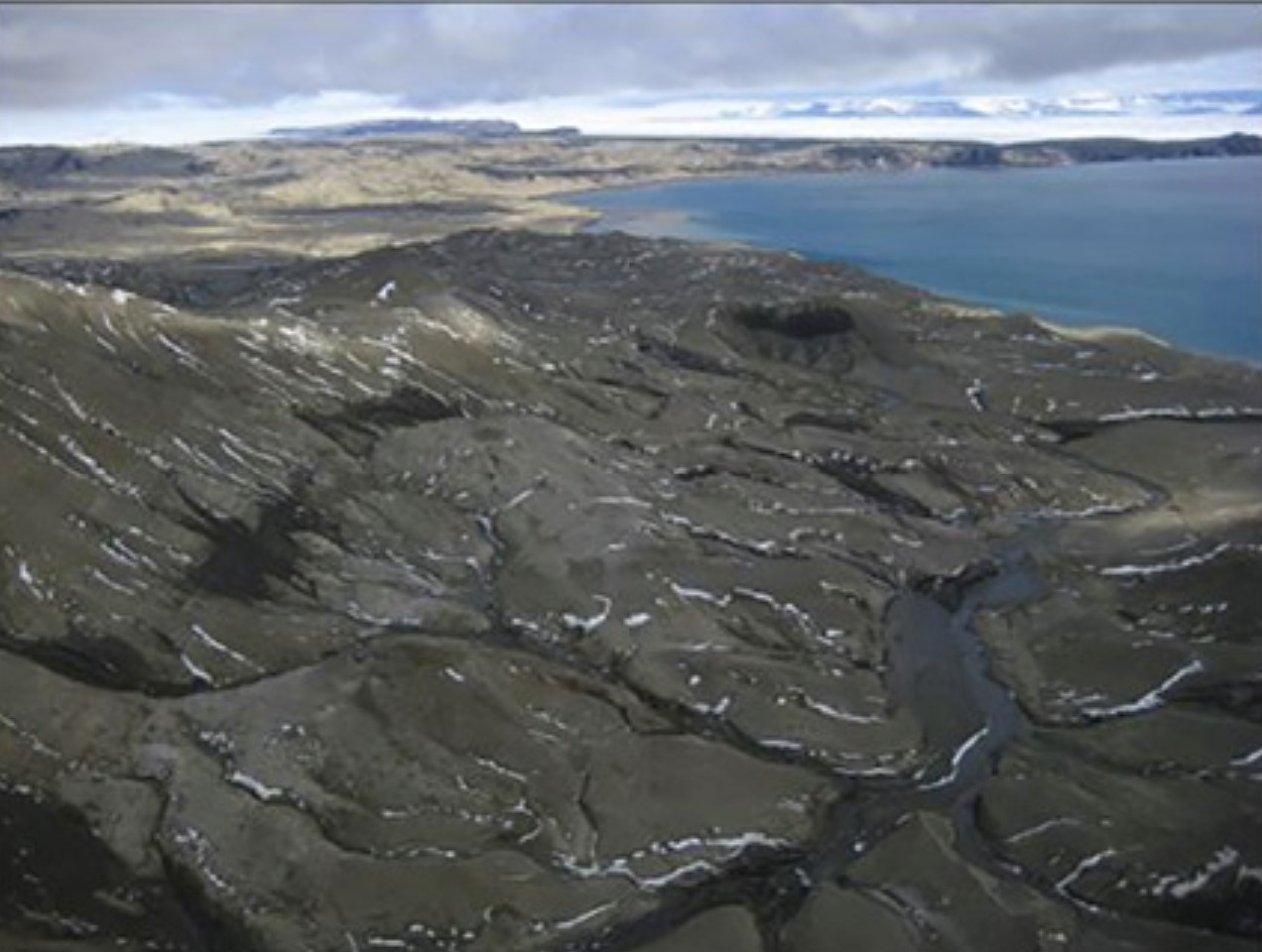 Regional diversity of maritime Antarctic soil fungi and predicted ...