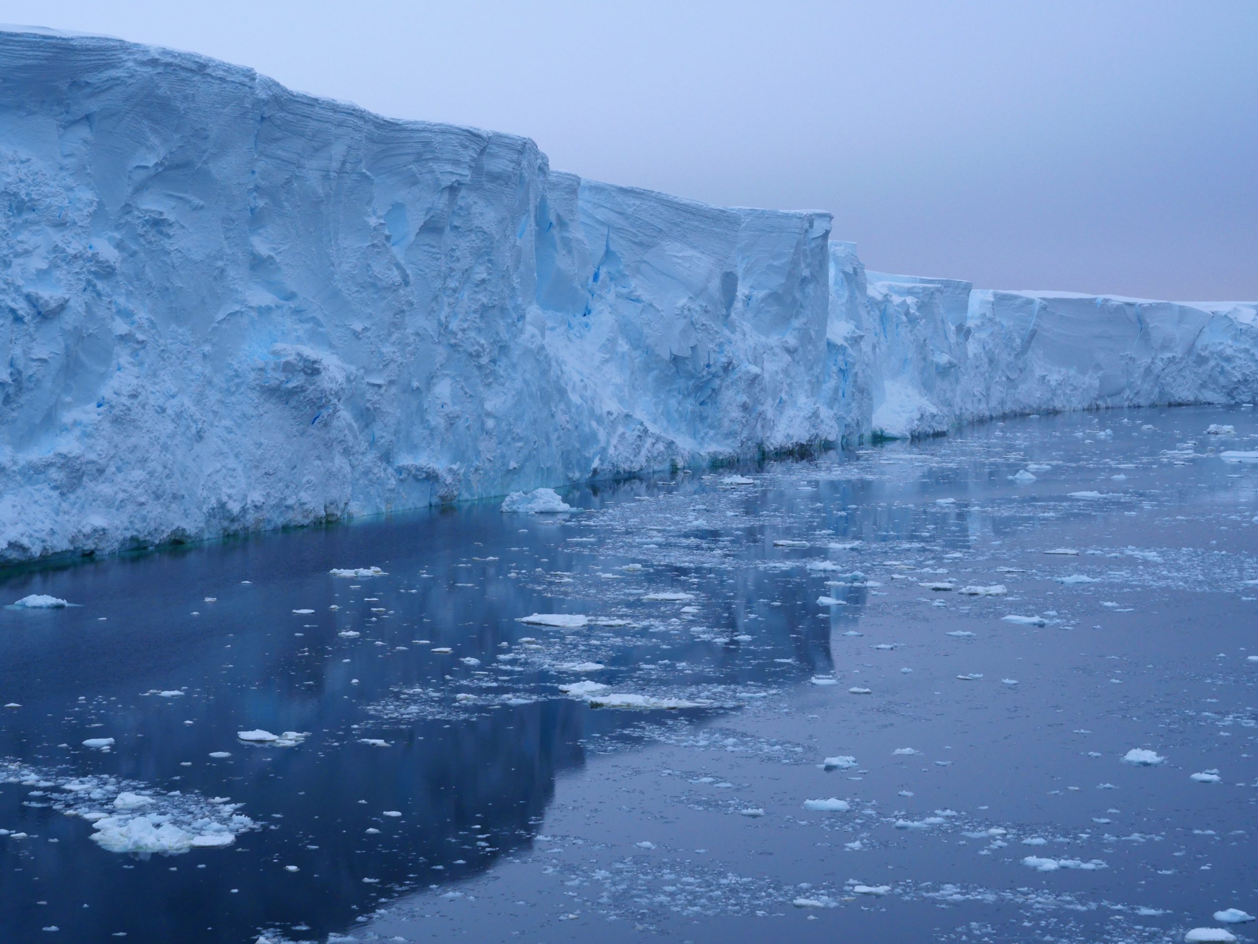 Radio-echo sounding and waveform modeling reveal abundant marine ice in ...