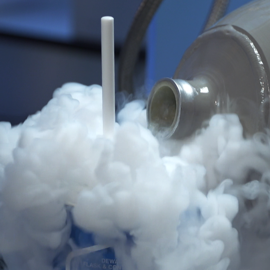 Polar Zero - 1765 'Air' - British Antarctic Survey