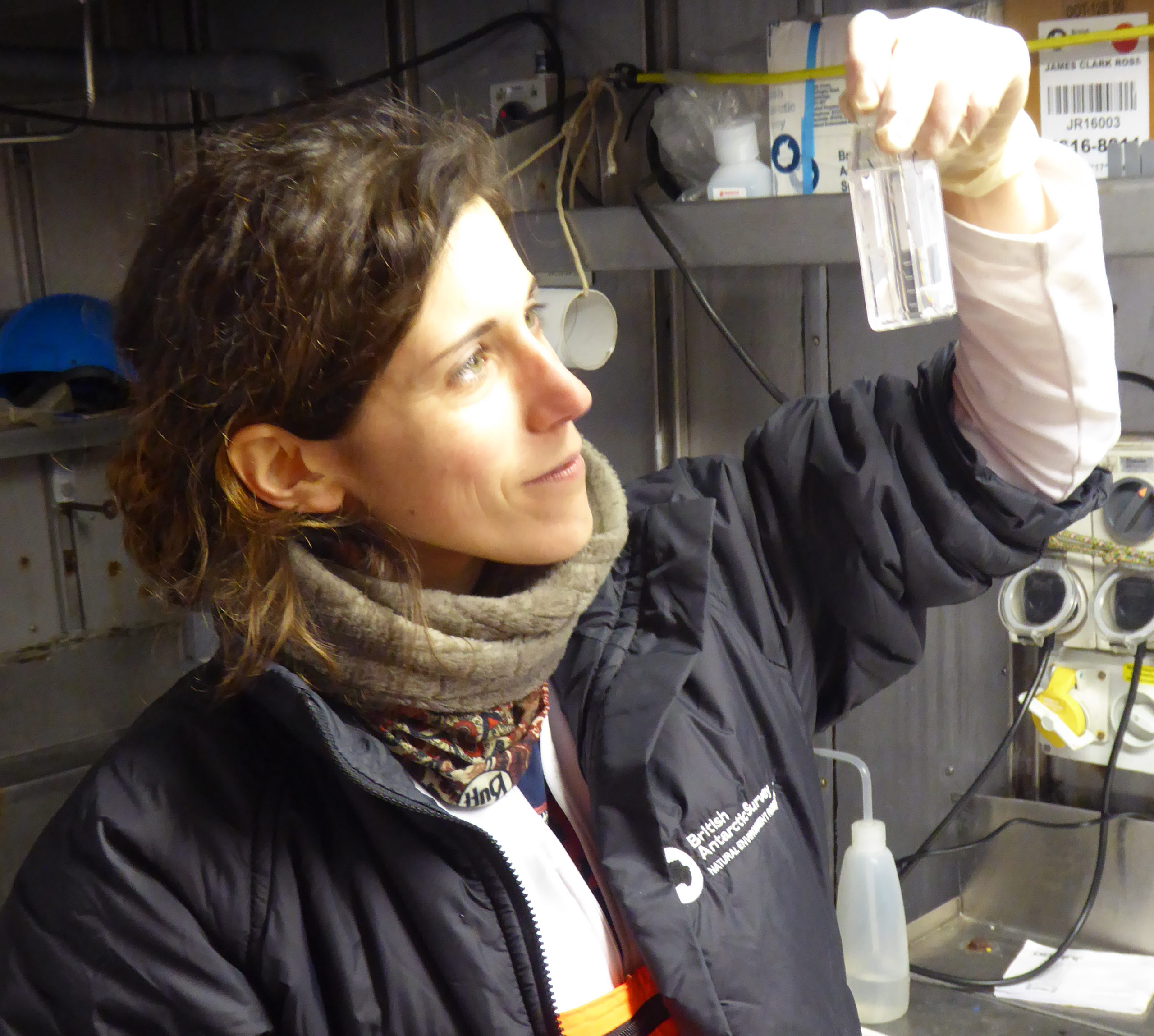 Elisa Bergami - British Antarctic Survey