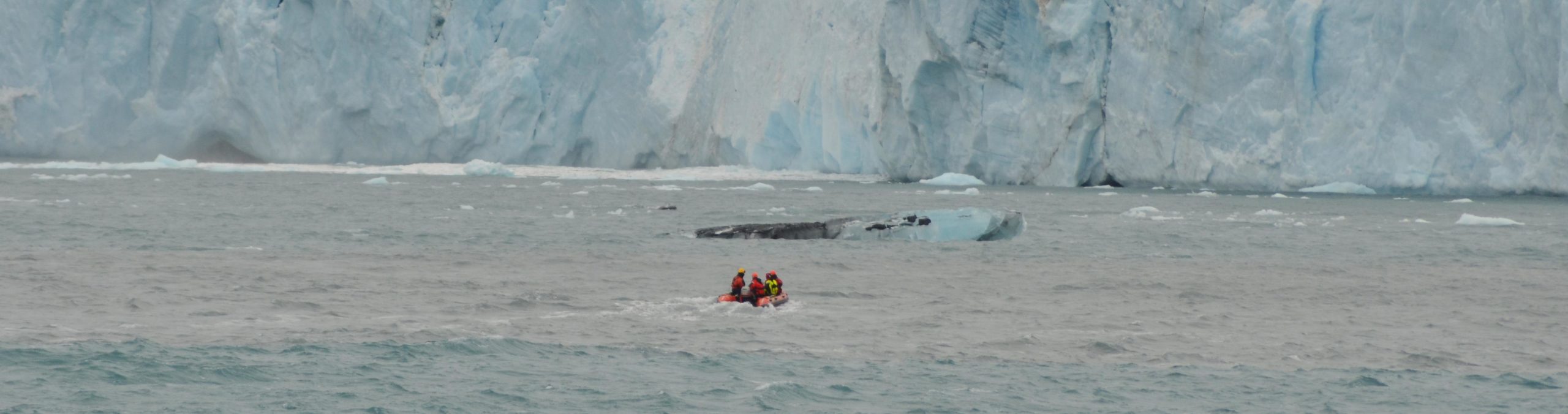 BIOPOLE - British Antarctic Survey - Project