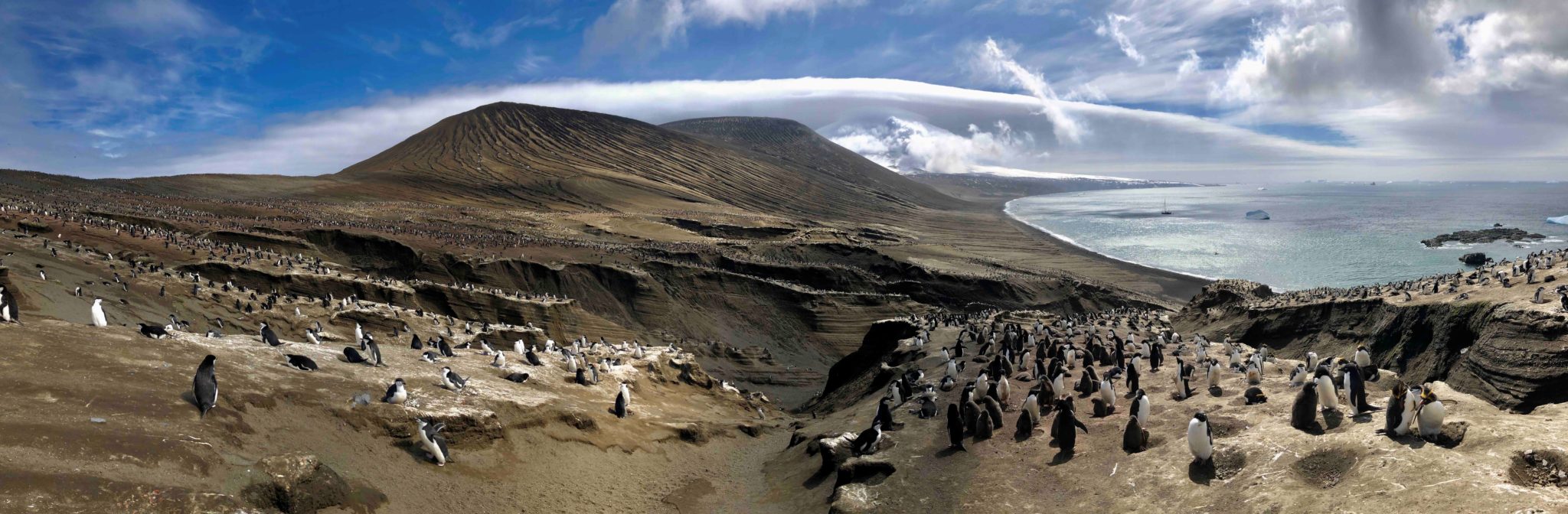 New South Sandwich Islands research - British Antarctic Survey