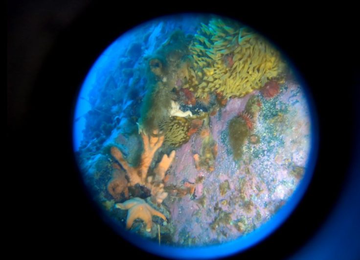 Rothera Marine Team - Overcoming challenges - British Antarctic Survey ...