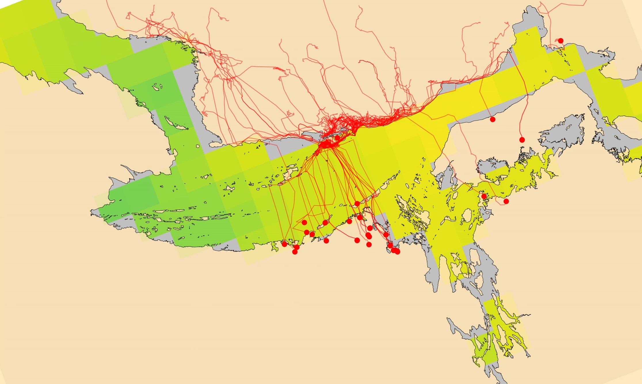 AI for smart conservation - British Antarctic Survey - Project