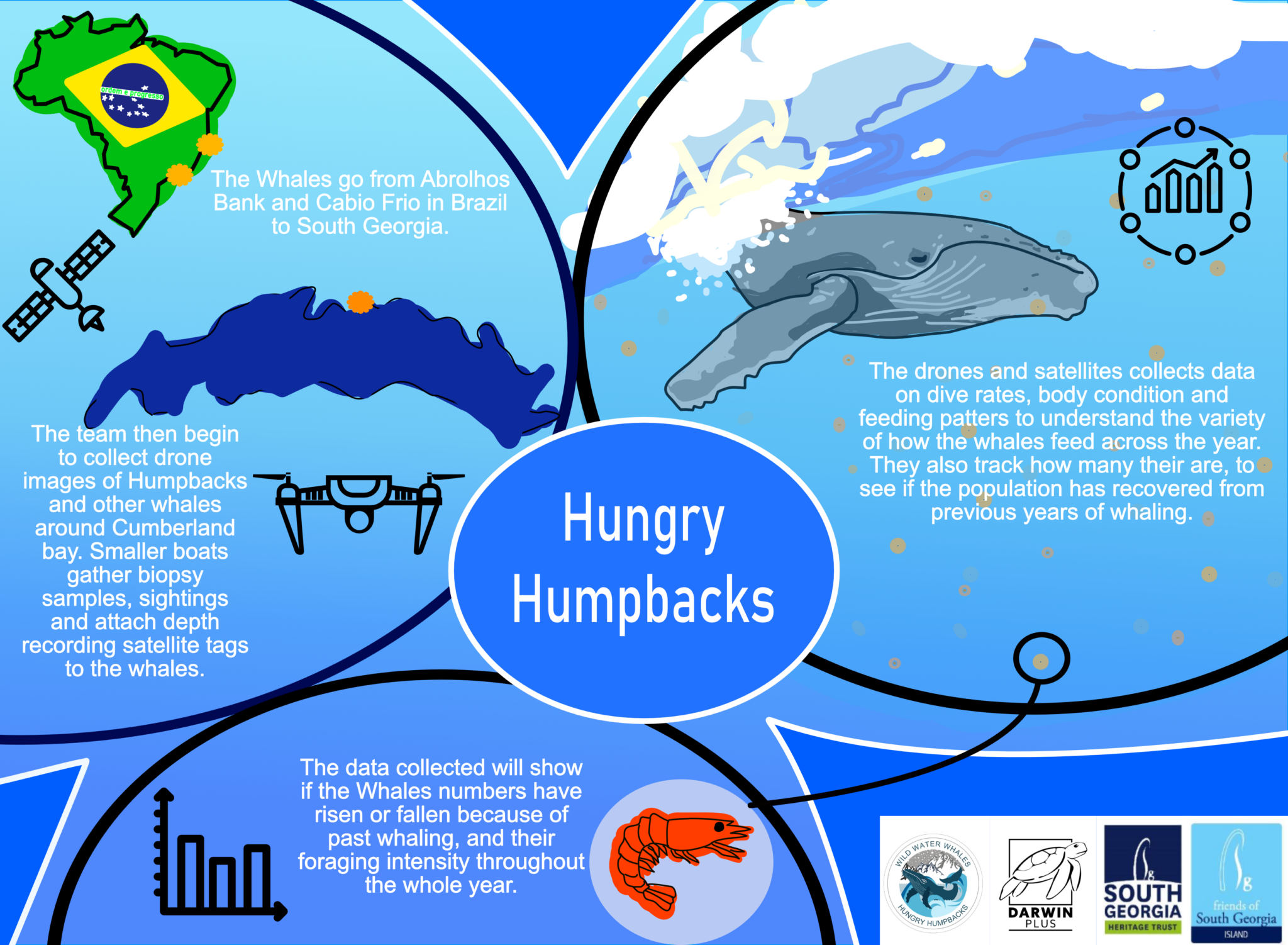 Hungry Humpbacks - British Antarctic Survey