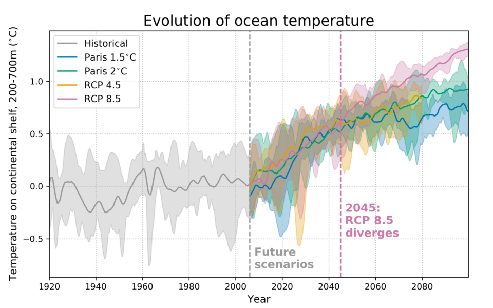 Increased West Antarctic Ice Sheet melting ‘unavoidable’ - British ...