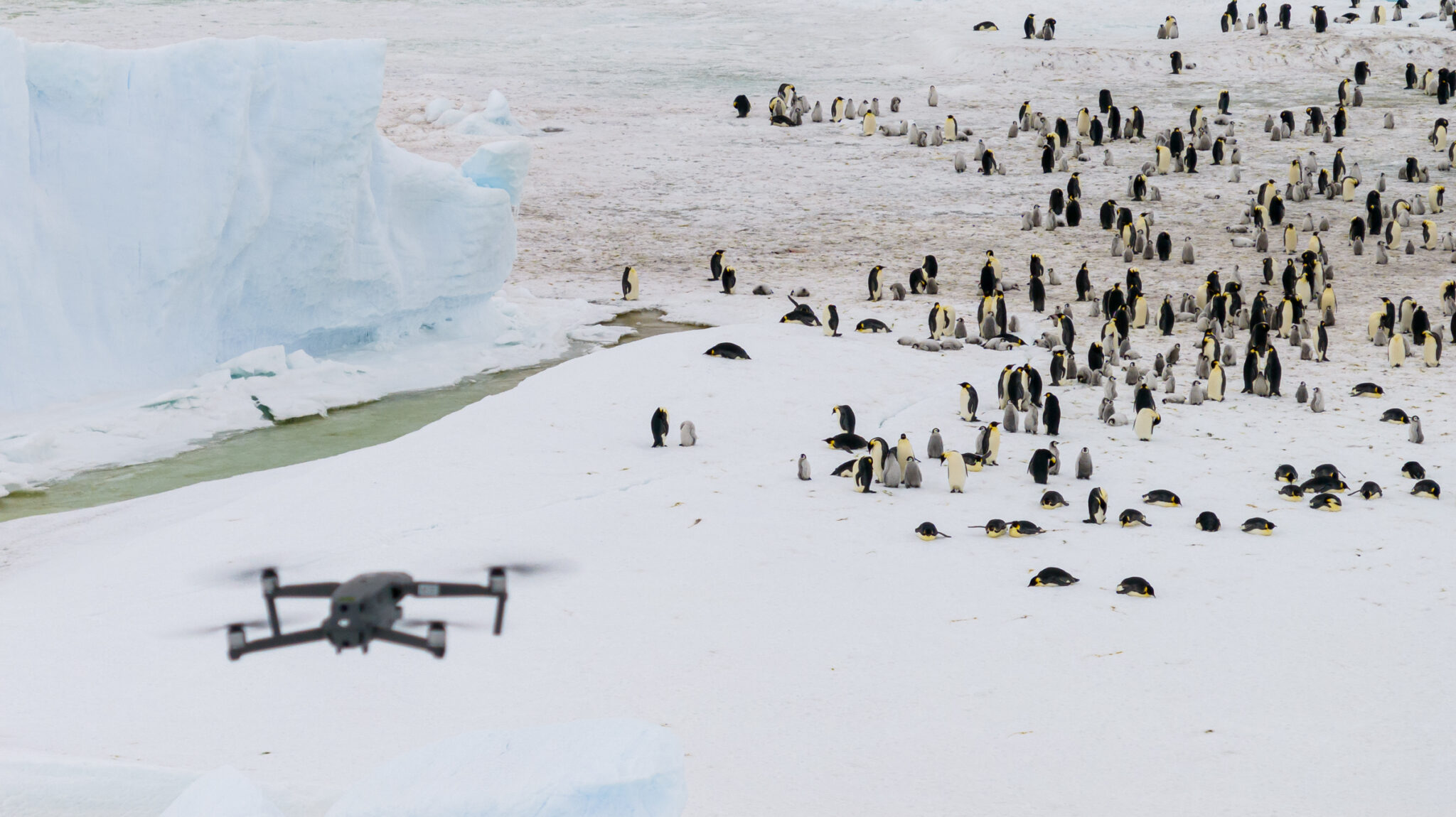 Snow Hill Emperor Penguin Expedition - British Antarctic Survey