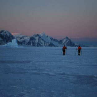 News and Press Releases - British Antarctic Survey