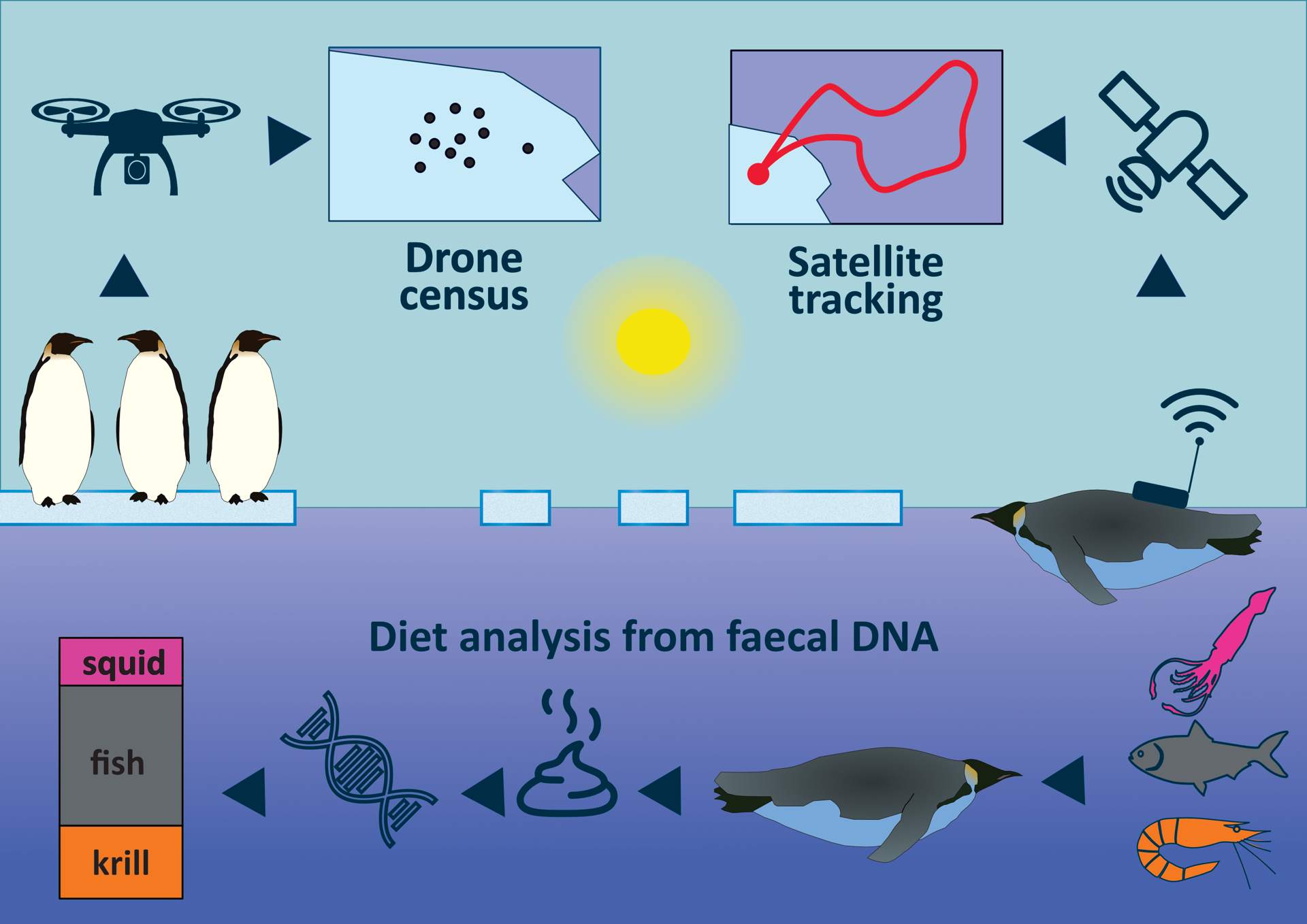 Snow Hill Emperor Penguin Expedition - British Antarctic Survey