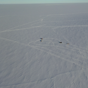 News and Press Releases - British Antarctic Survey