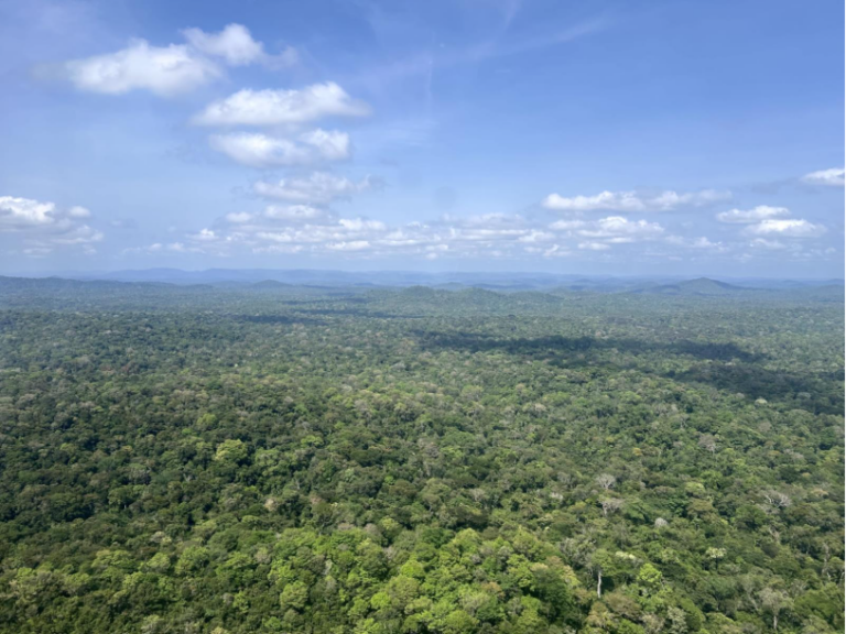 Carbon sink or carbon source? Science flights over the changing Amazon ...